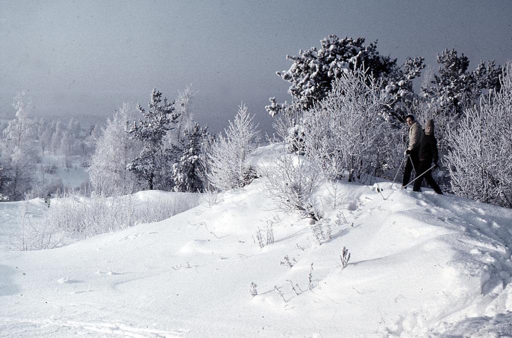 Синоптики объяснили, в каких регионах Украины температура упадет до -27 градусов мороза ...